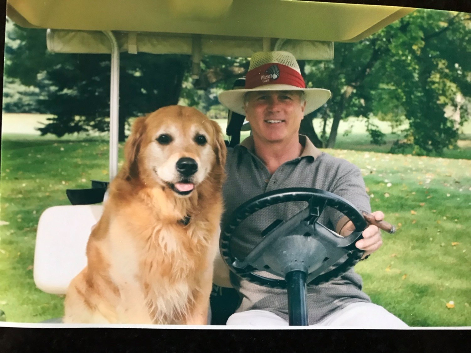 An Oral History of Nickelodeon’s Animorphs Adaptation – Conventional ...